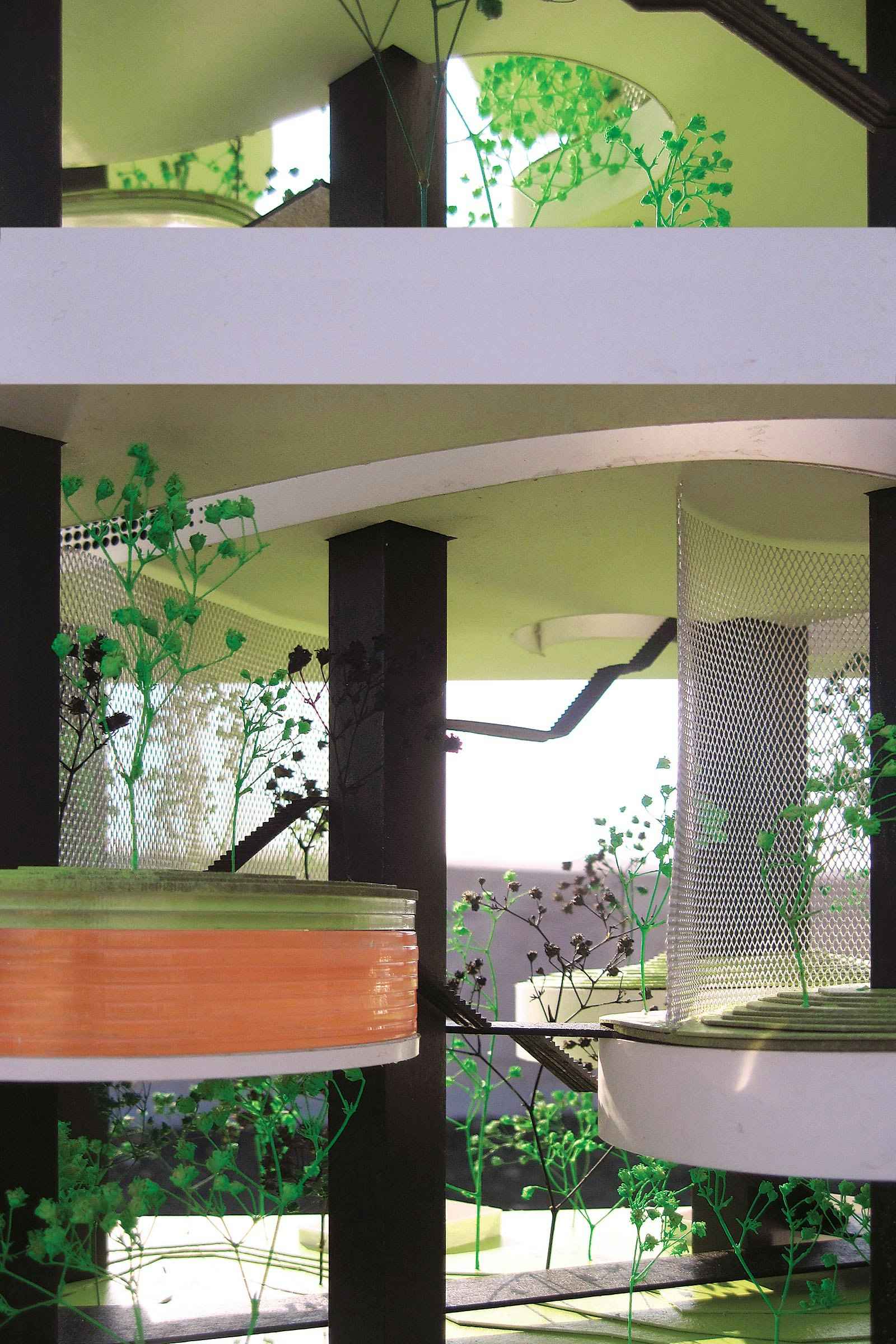 Landry Smith Architect – Vertical Zoo